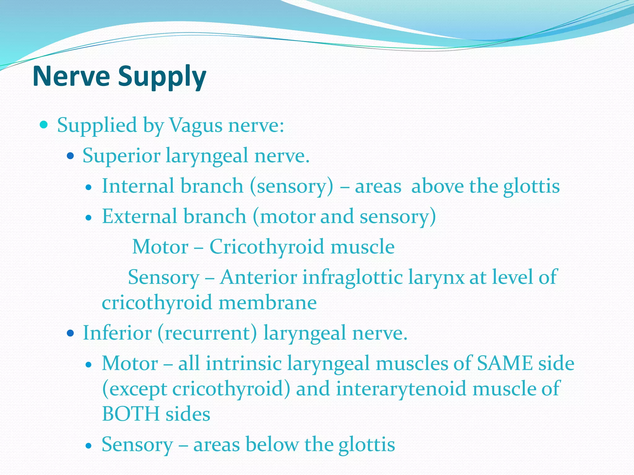 Anatomy of larynx | PPTX