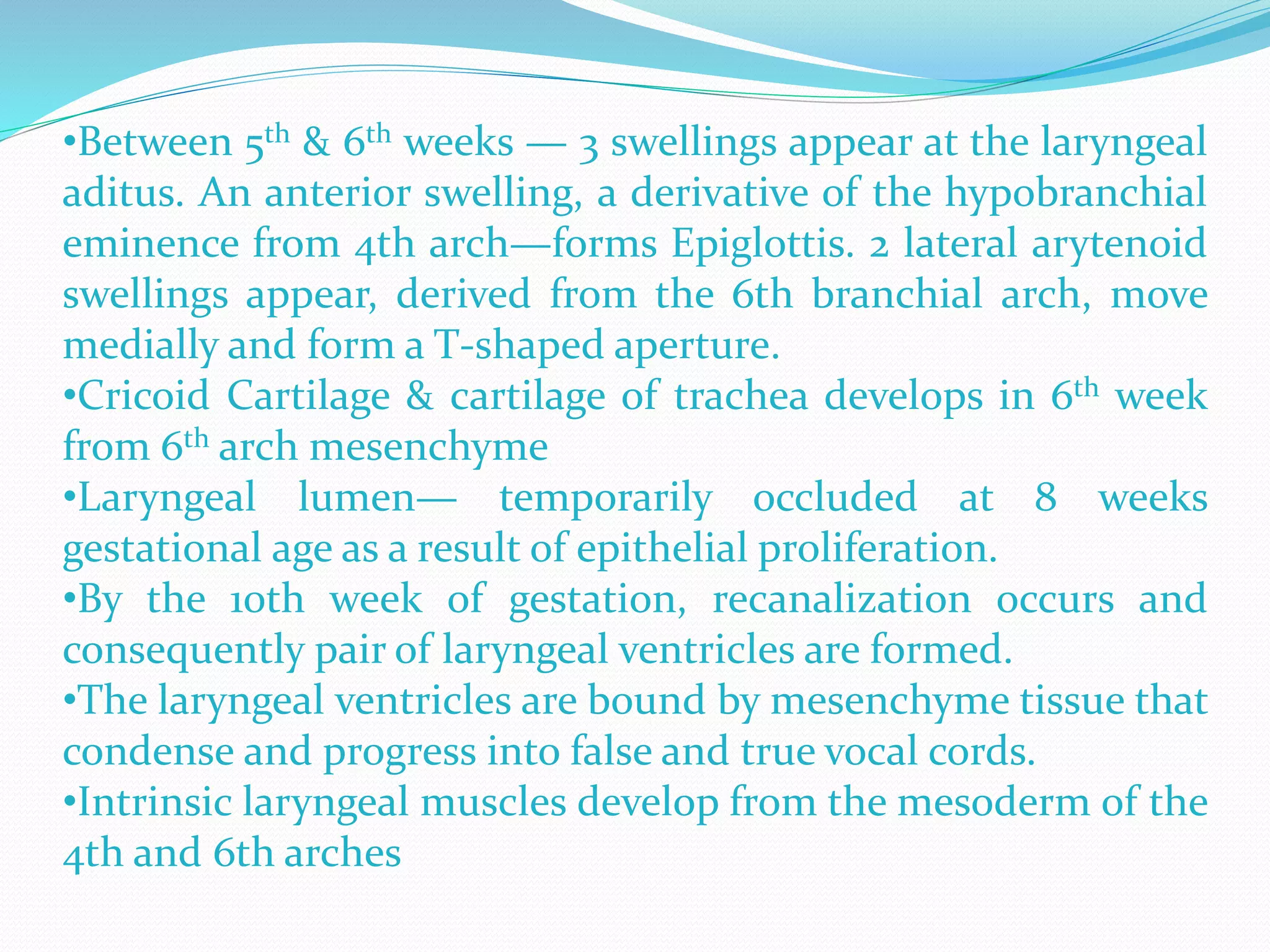 Anatomy of larynx | PPTX