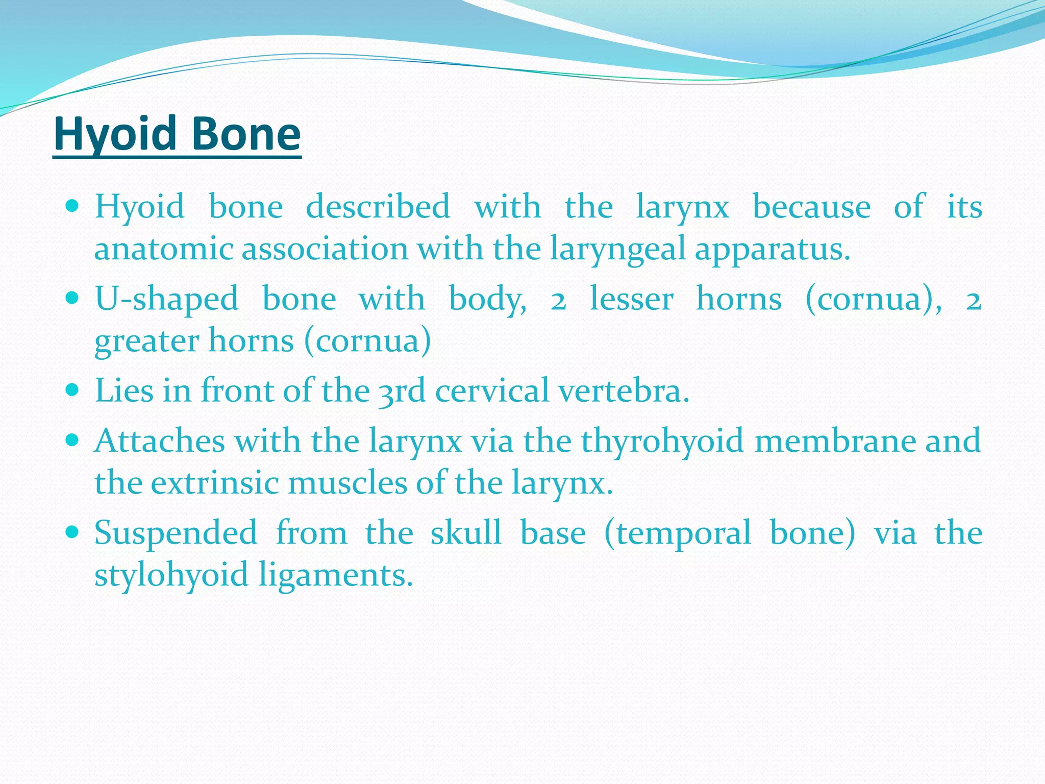 Anatomy of larynx | PPTX