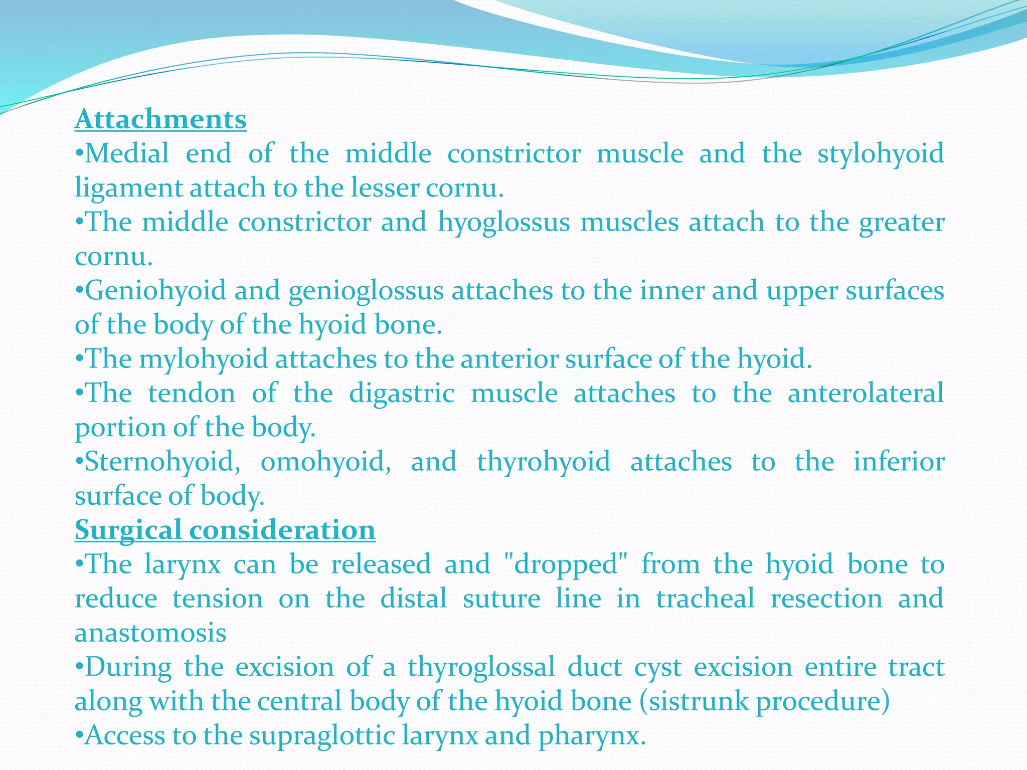 Anatomy of larynx | PPTX
