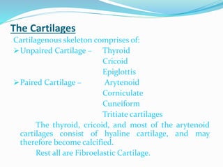 Anatomy of larynx | PPTX