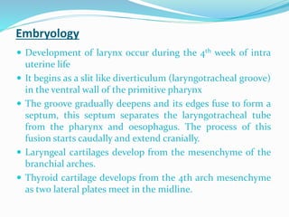 Anatomy of larynx | PPTX