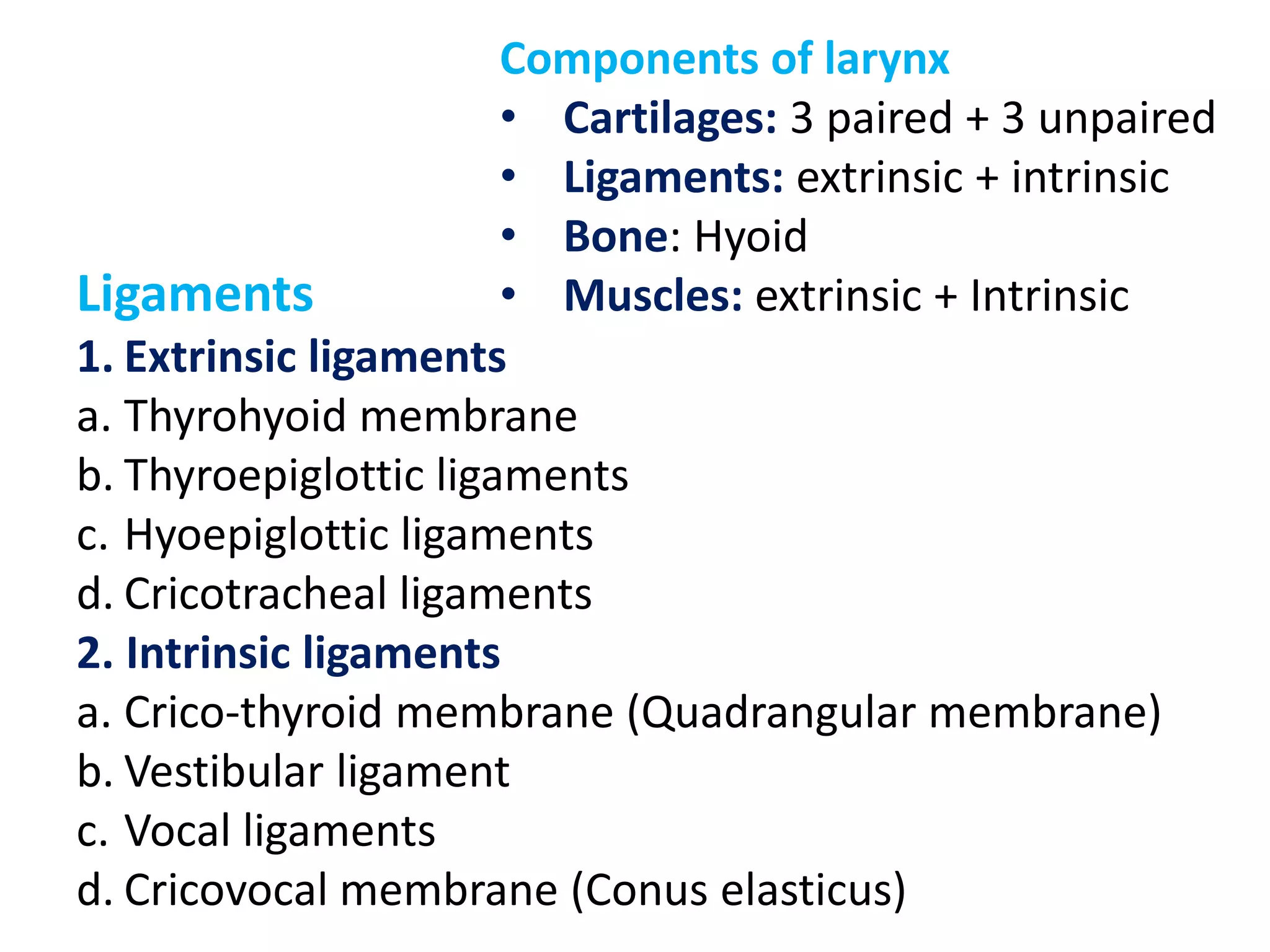 Anatomy of larynx | PDF