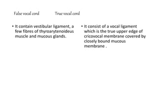 Anatomy of larynx | PPT