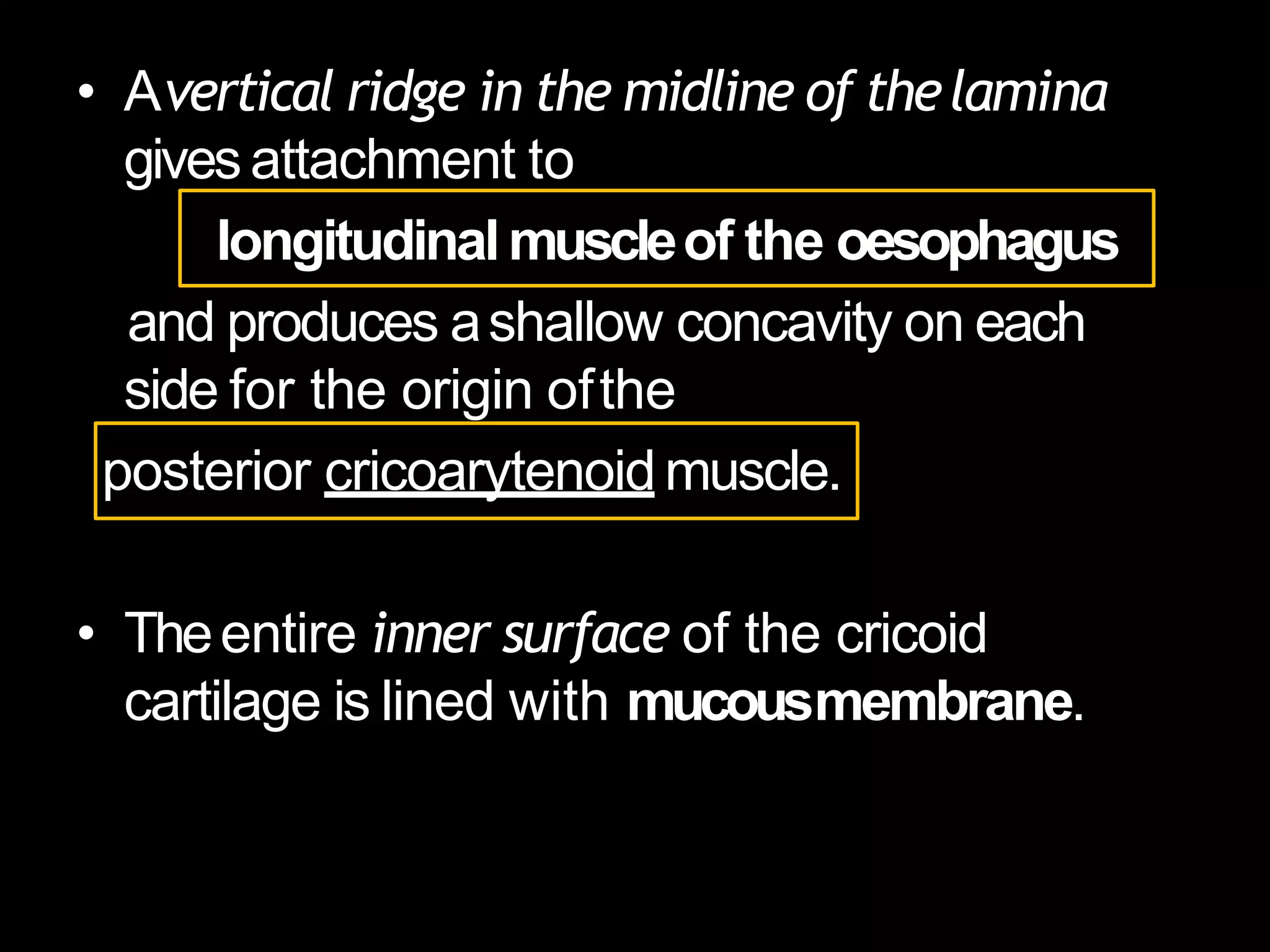 Anatomy Of Larynx(Voice Box) | PPTX