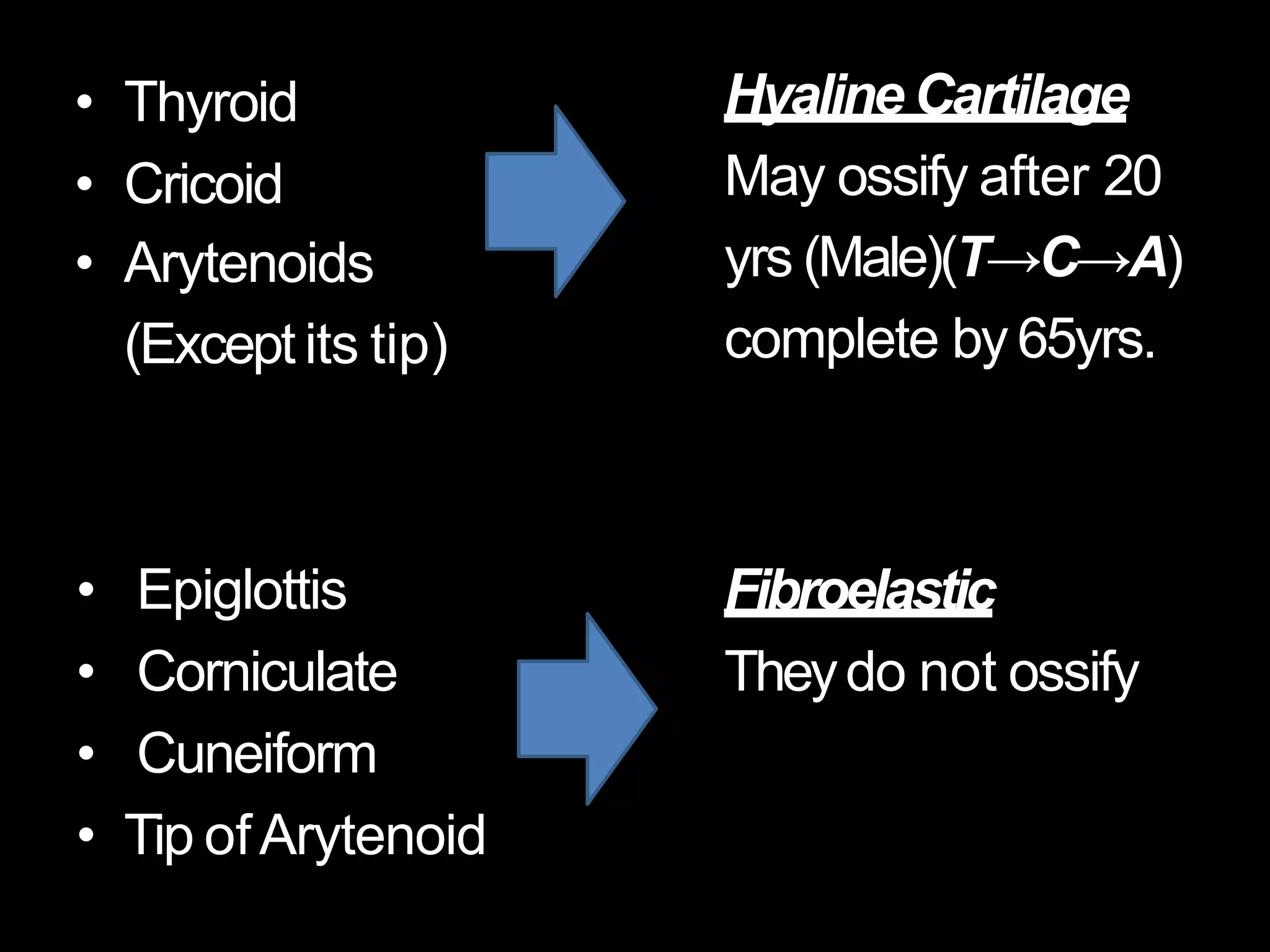Anatomy Of Larynx(Voice Box) | PPTX
