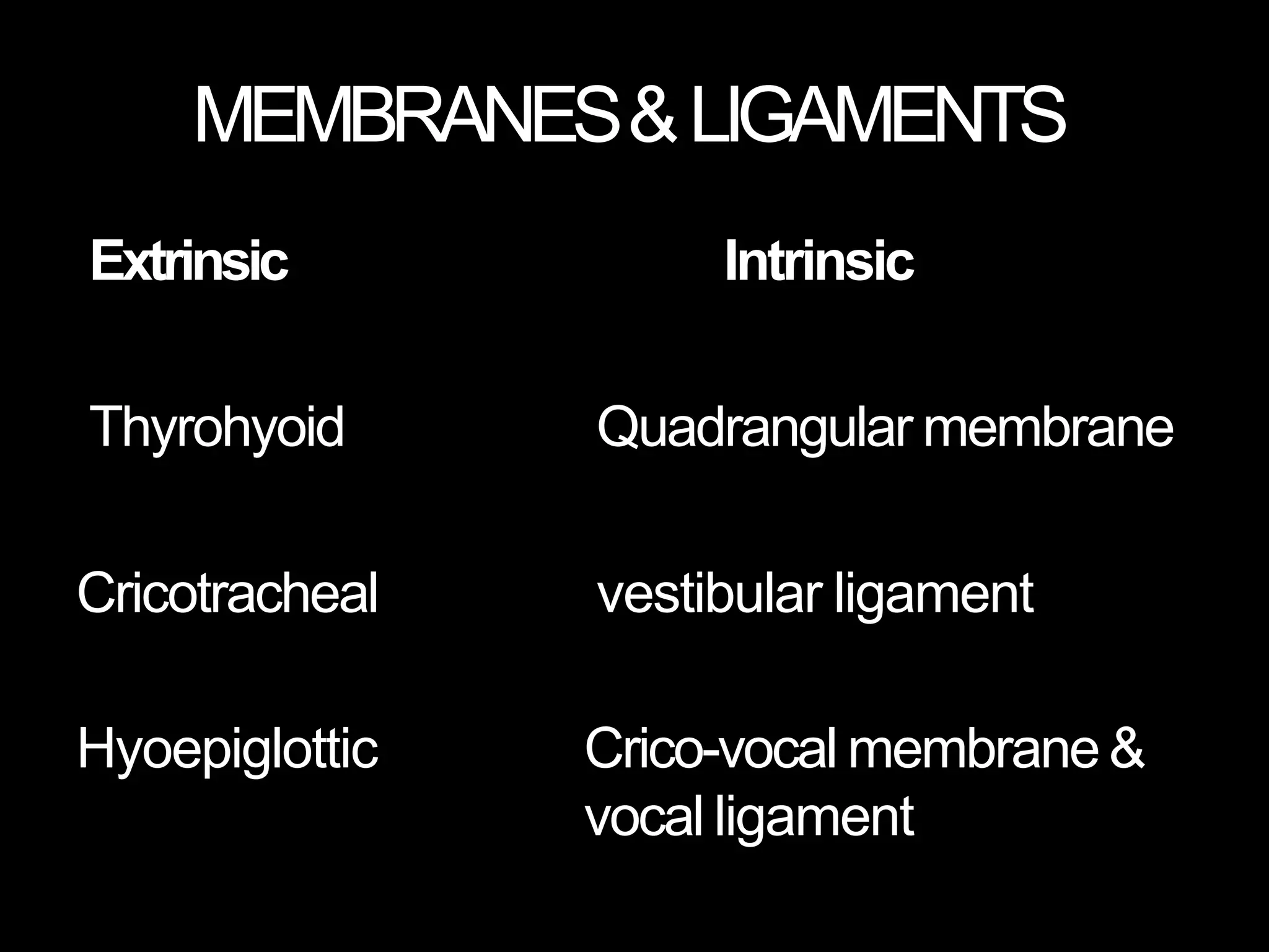 Anatomy Of Larynx(Voice Box) | PPTX
