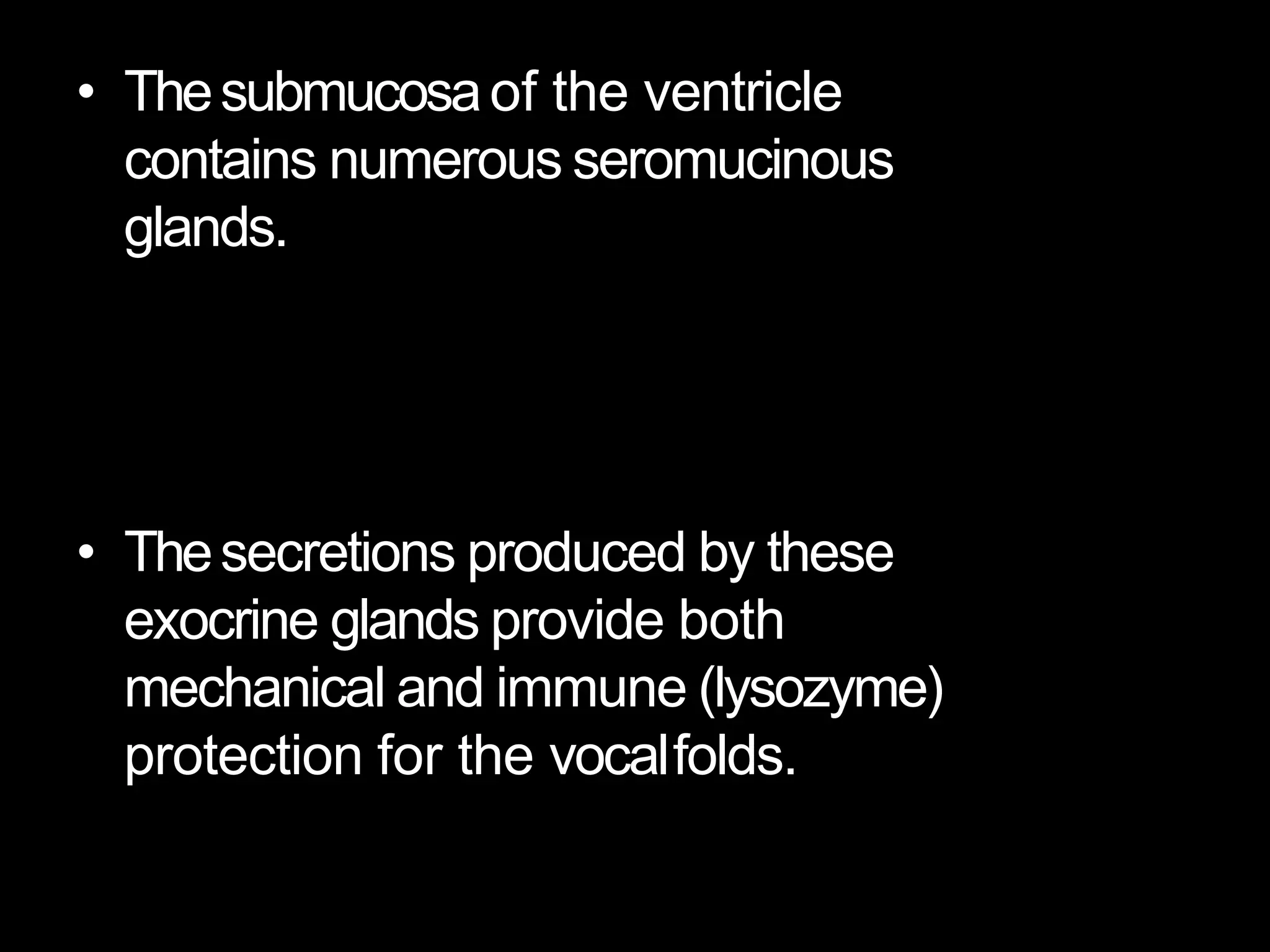 Anatomy Of Larynx(Voice Box) | PPTX