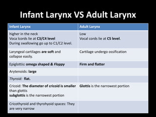 Anatomy of larynx | PPTX