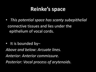 Anatomy of larynx | PPT