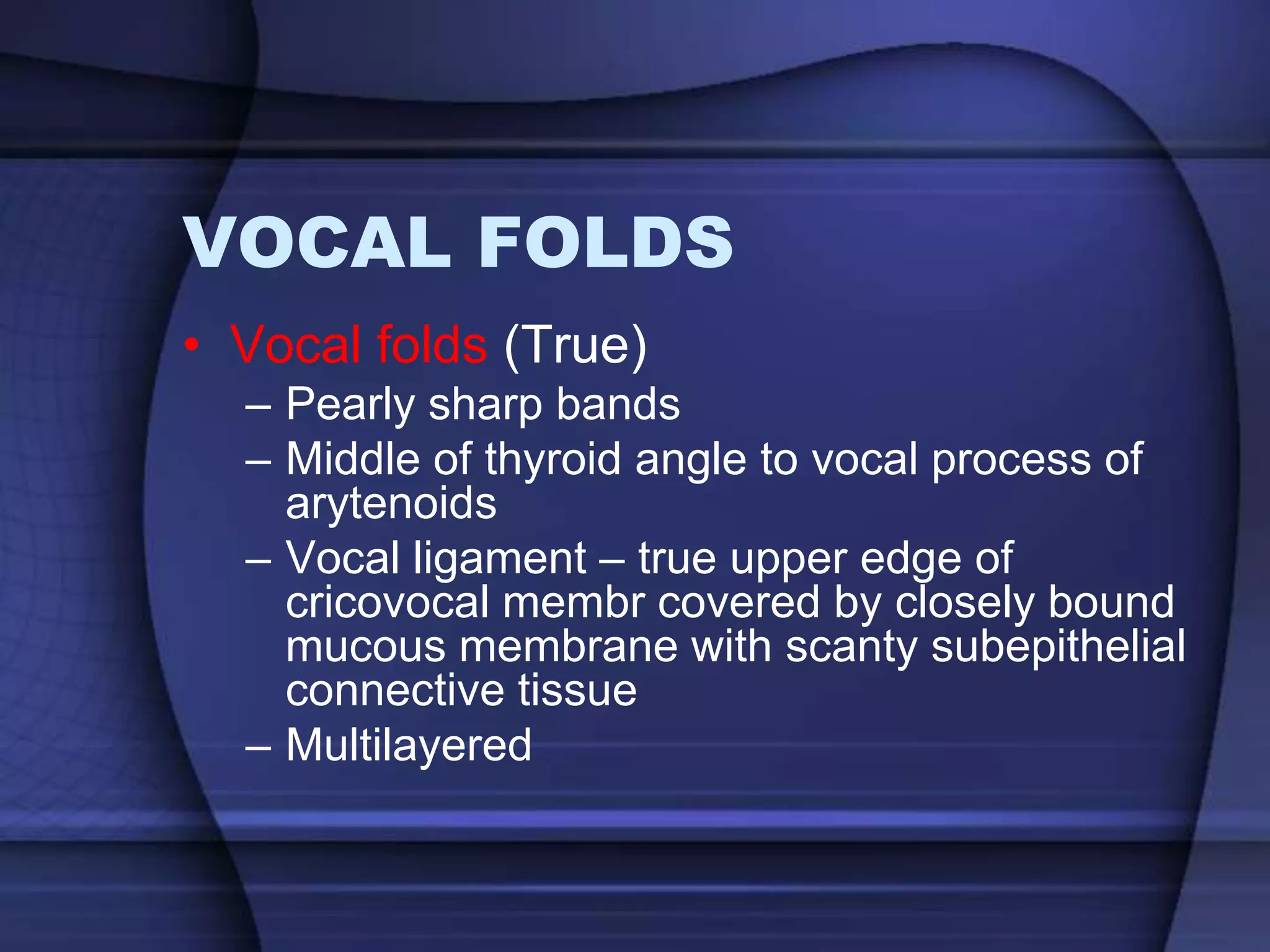 Anatomy of larynx | PPTX