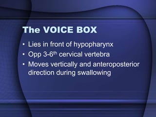 Anatomy of larynx | PPTX