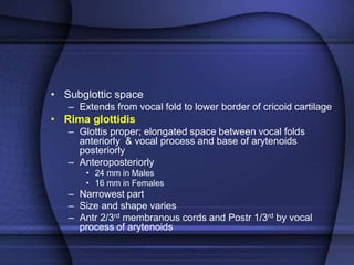 Anatomy of larynx | PPTX