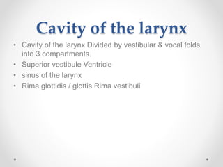 anatomy_of_larynx.pptx