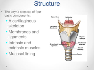 anatomy_of_larynx.pptx