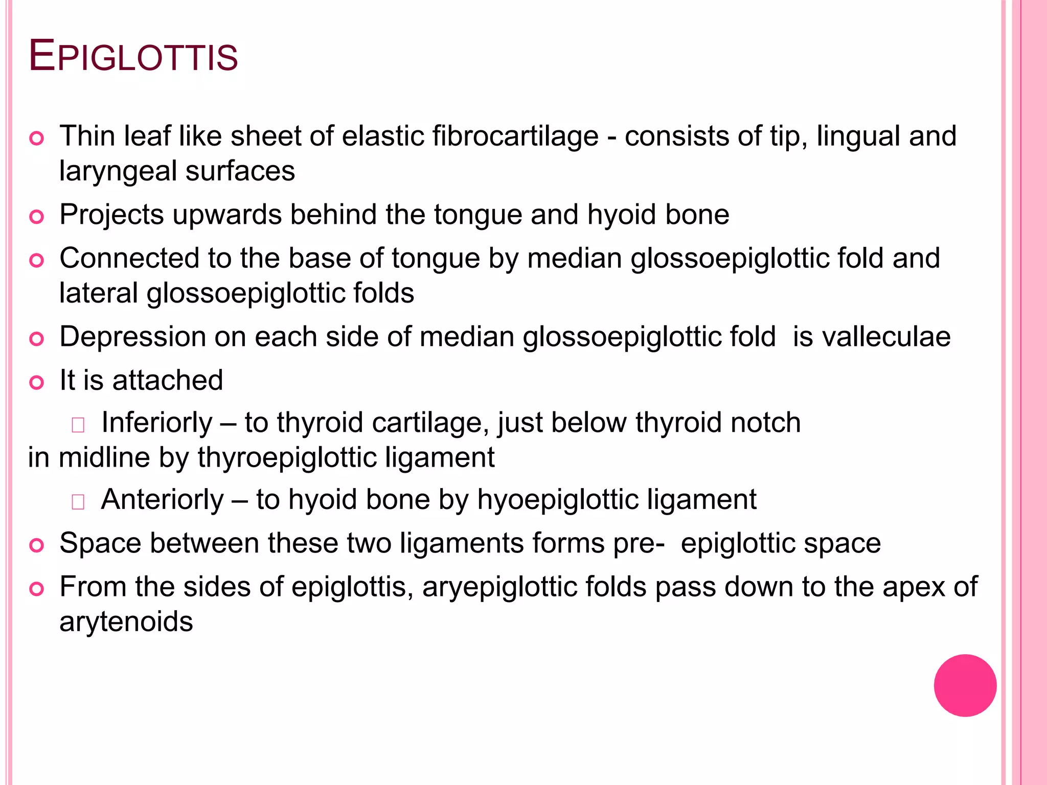 Anatomy of larynx.pptx