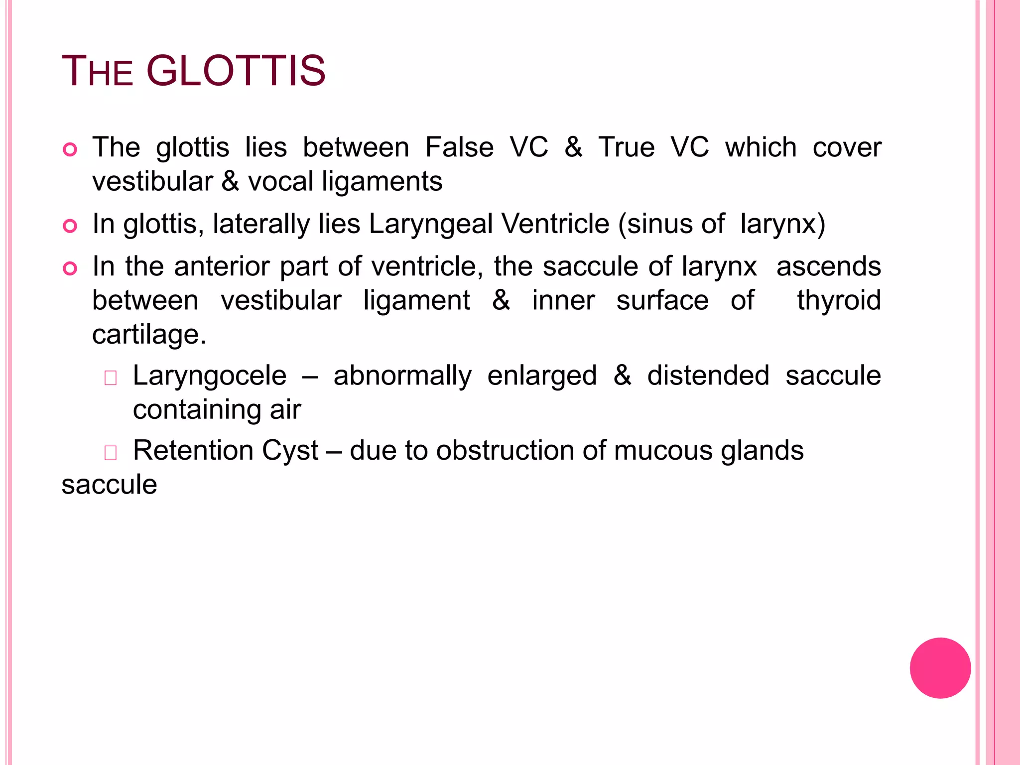 Anatomy of larynx.pptx
