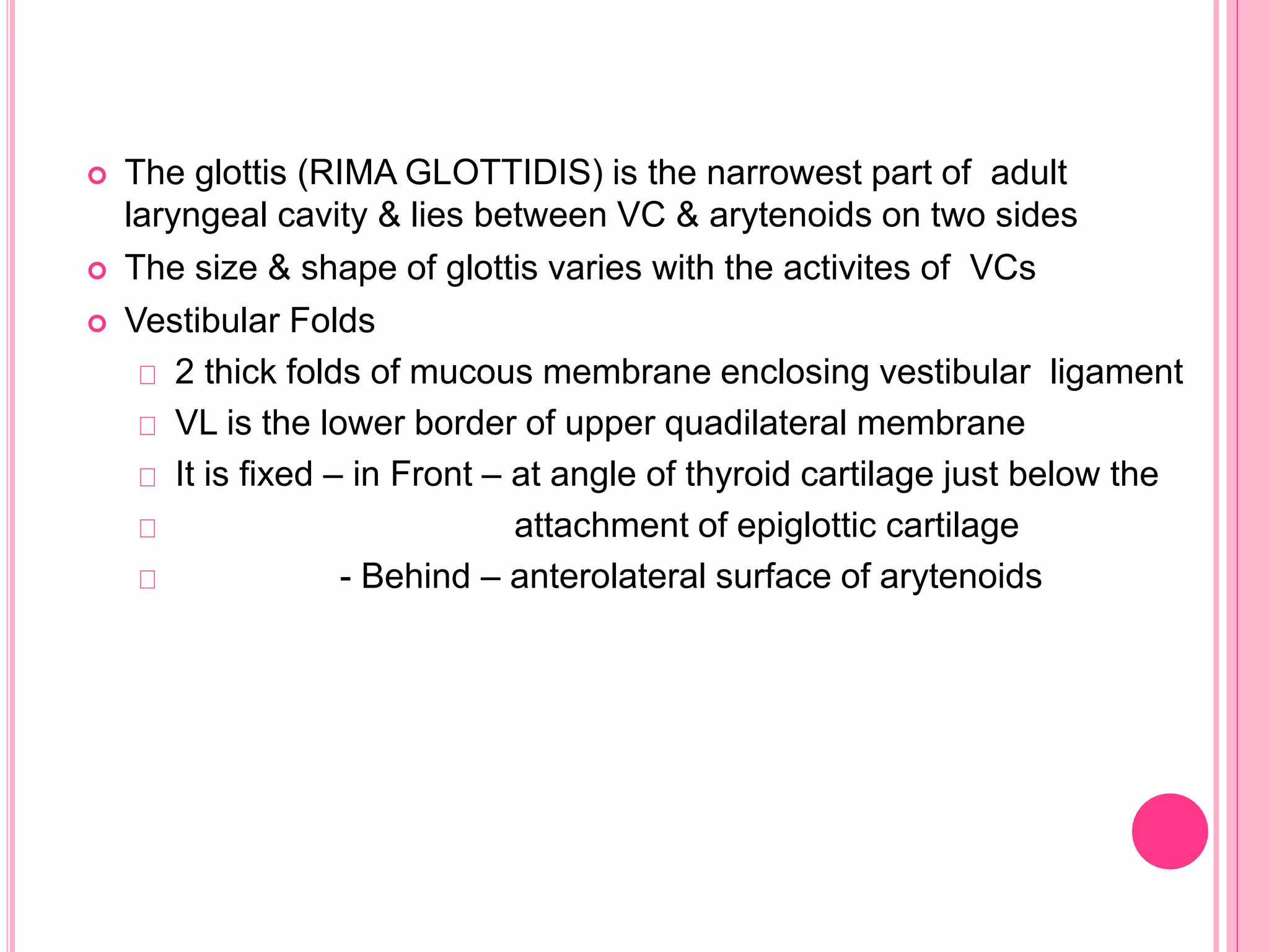 Anatomy of larynx.pptx