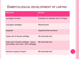 Anatomy of larynx.pptx