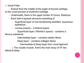 Anatomy of larynx.pptx