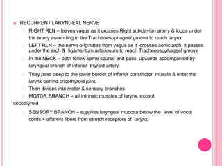 Anatomy of larynx.pptx
