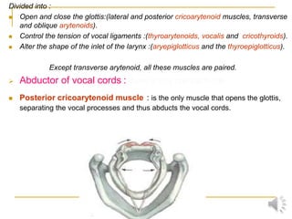 Anatomy of Larynx.ppt