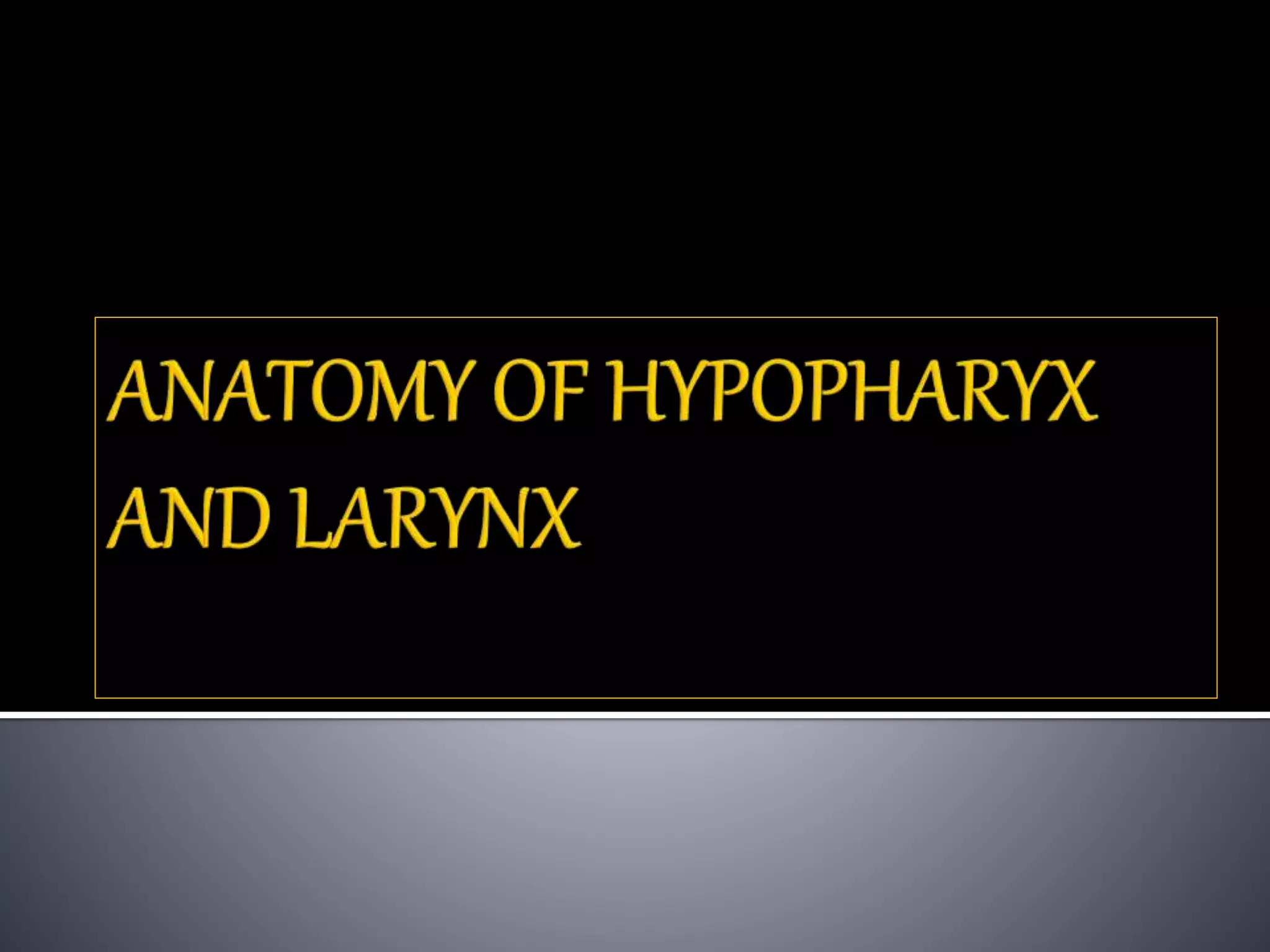 ANATOMY OF LARYNX.pptx