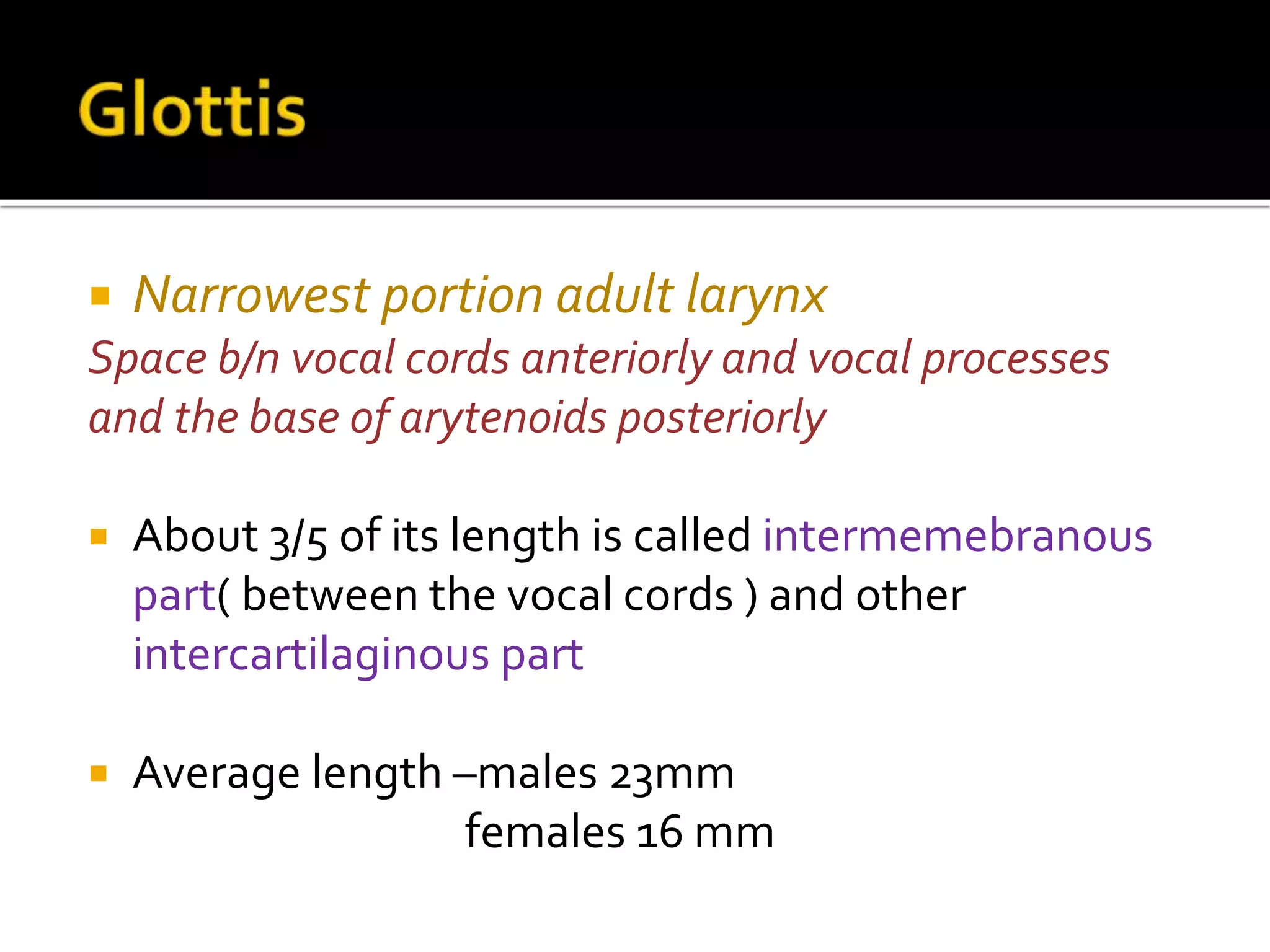 ANATOMY OF LARYNX.pptx