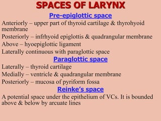 Anatomy of larynx details with diagrams, | PPT