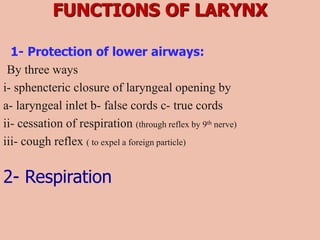 Anatomy of larynx details with diagrams, | PPT