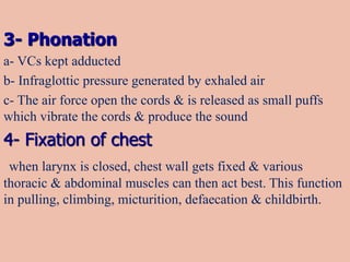 Anatomy of larynx details with diagrams, | PPT