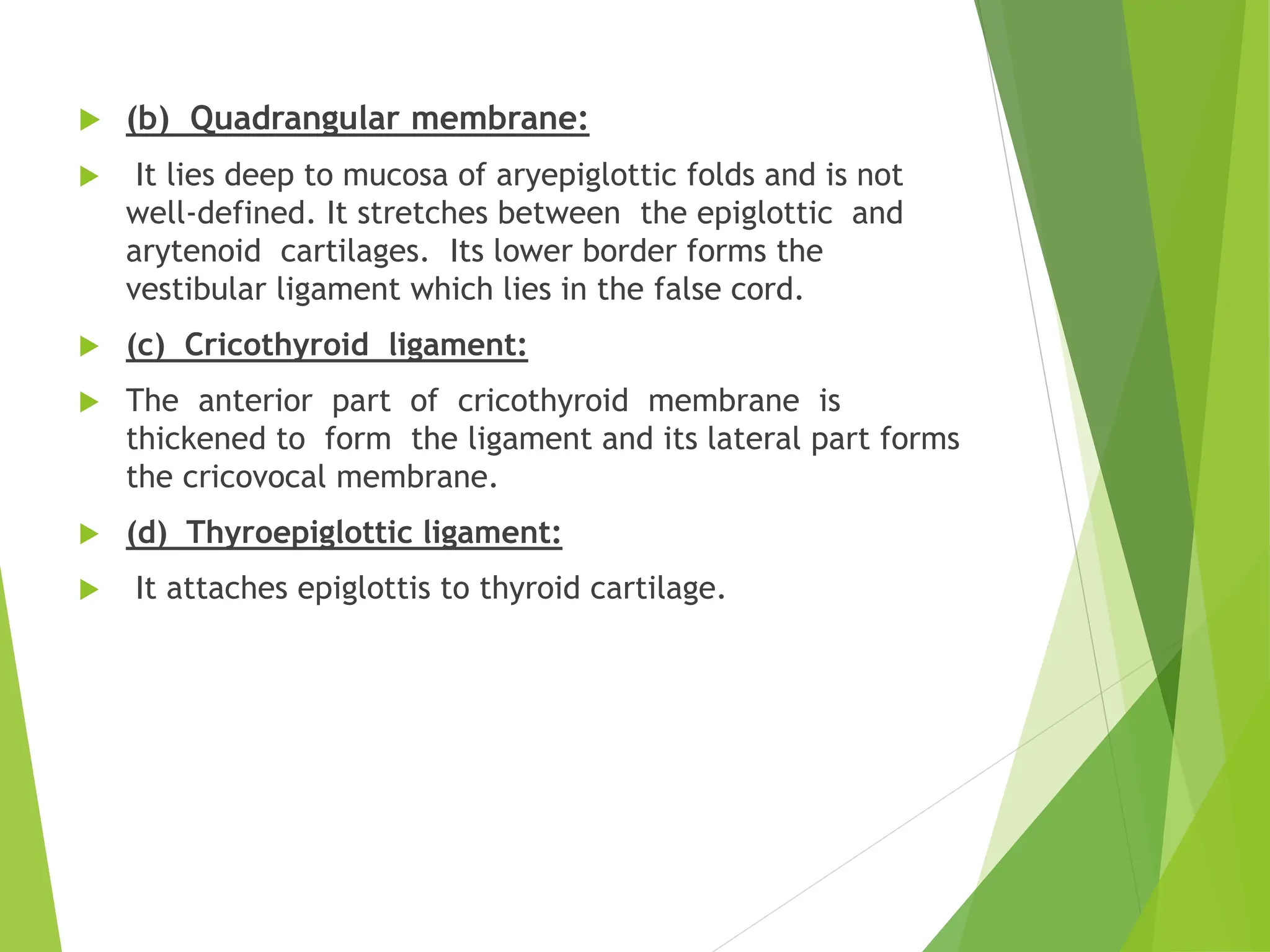 The Presentation on "Anatomy of larynx" | PPTX
