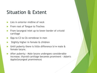 The Presentation on "Anatomy of larynx" | PPTX