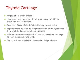 The Presentation on "Anatomy of larynx" | PPTX