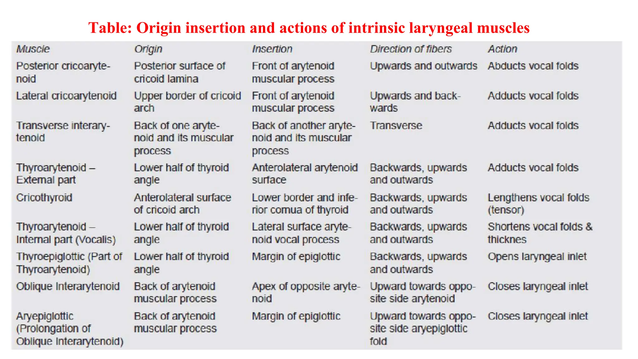 Anatomy of larynx. anatomy and clinical importance | PPTX