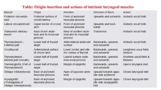 Anatomy of larynx. anatomy and clinical importance | PPTX