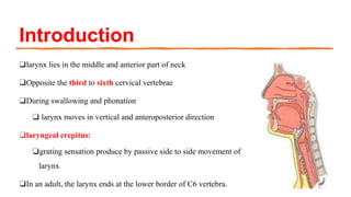 Anatomy of larynx. anatomy and clinical importance | PPTX