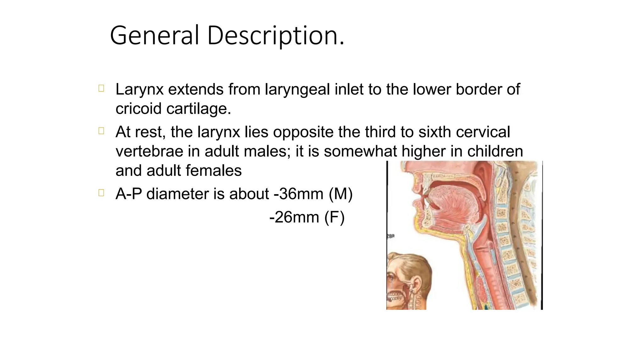 Principles and embryology ANATOMY OF LARYNX.pptx
