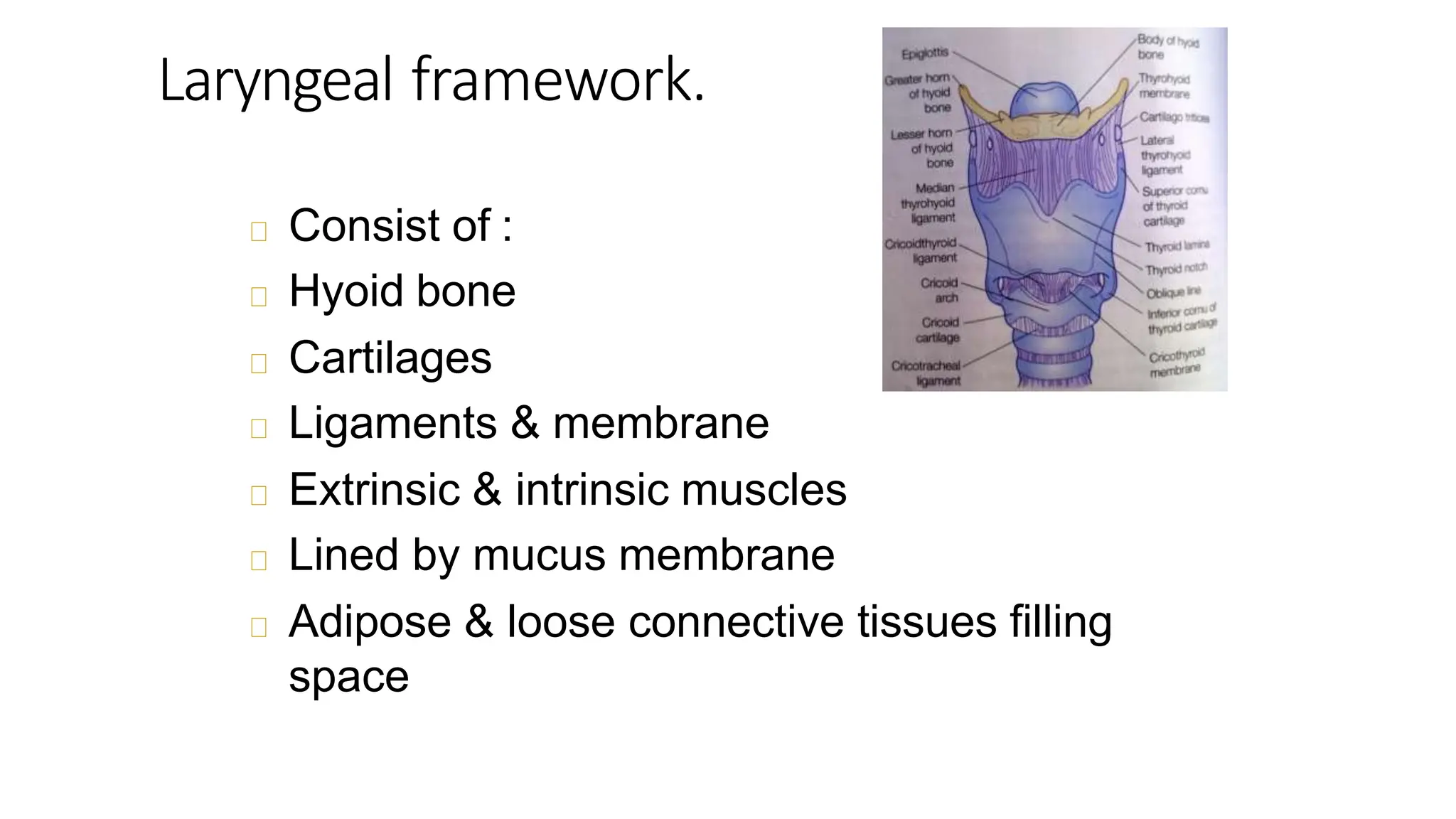 Principles and embryology ANATOMY OF LARYNX.pptx