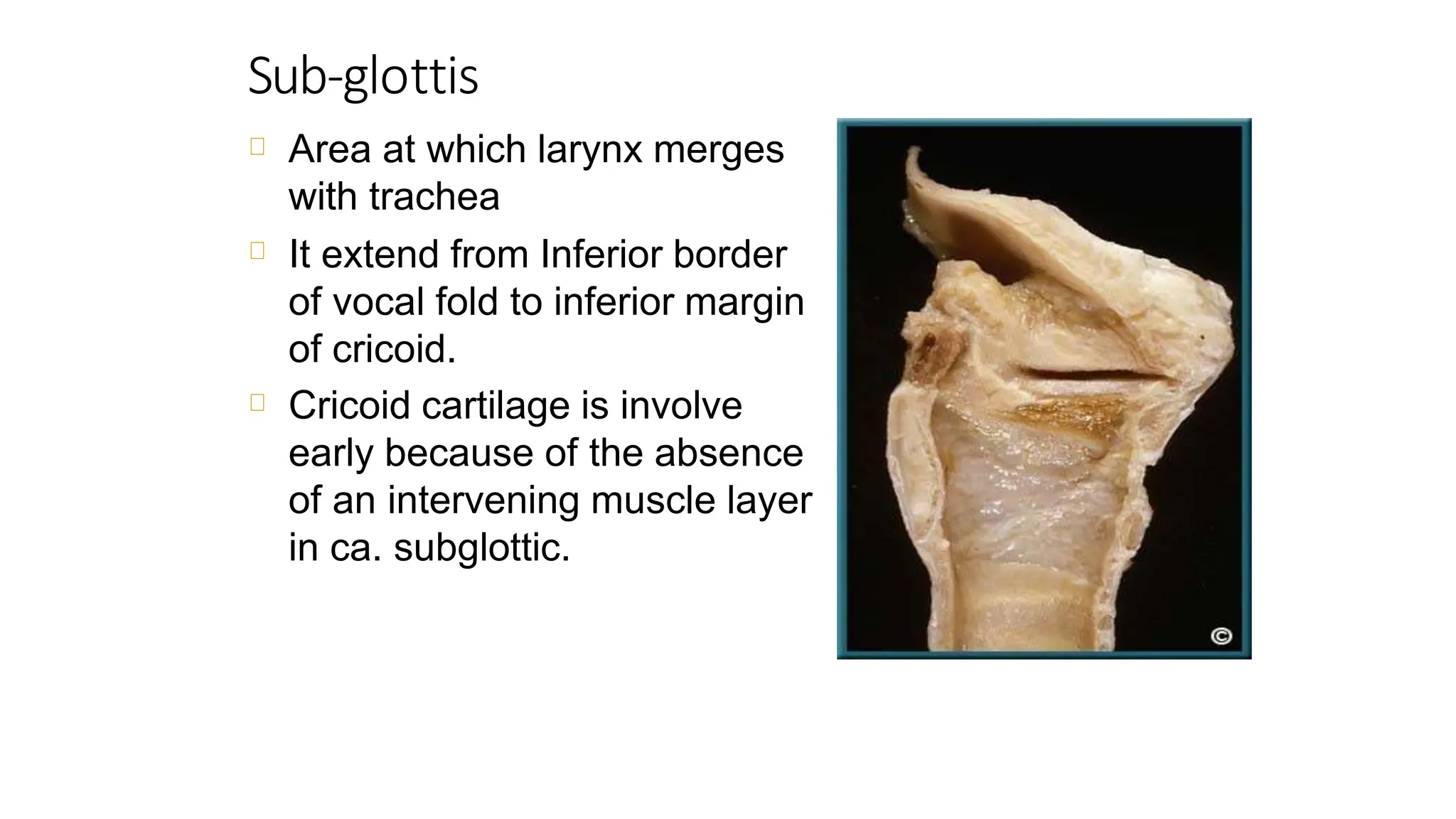 Principles and embryology ANATOMY OF LARYNX.pptx