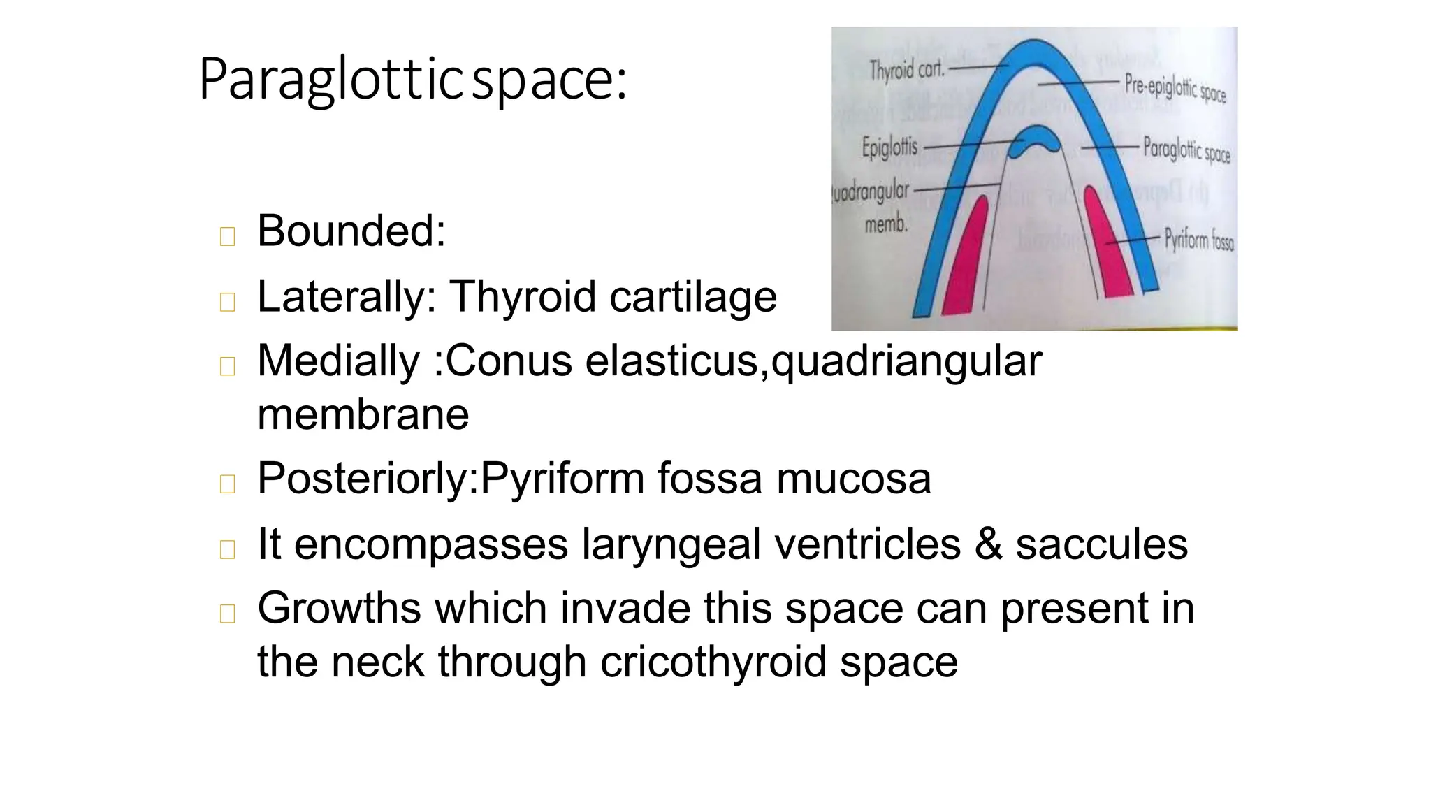 Principles and embryology ANATOMY OF LARYNX.pptx