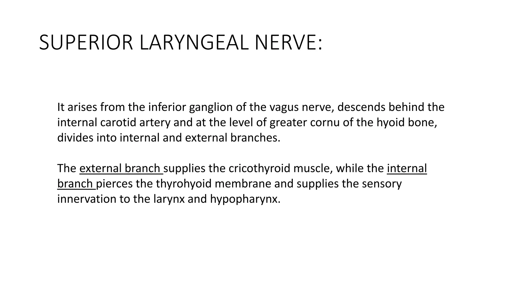 Principles and embryology ANATOMY OF LARYNX.pptx