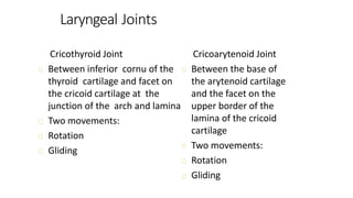 Principles and embryology ANATOMY OF LARYNX.pptx