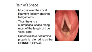 Principles and embryology ANATOMY OF LARYNX.pptx