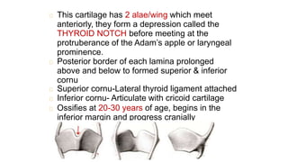 Principles and embryology ANATOMY OF LARYNX.pptx