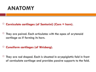 Anatomy of larynx, LARYNGEAL CARTILAGES, | PPTX