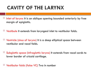 Anatomy of larynx, LARYNGEAL CARTILAGES, | PPTX