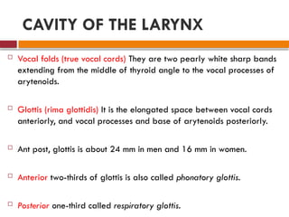 Anatomy of larynx, LARYNGEAL CARTILAGES, | PPTX