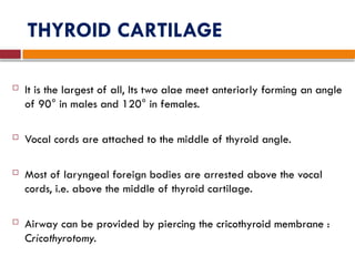 Anatomy of larynx, LARYNGEAL CARTILAGES, | PPTX