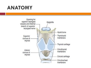Anatomy of larynx, LARYNGEAL CARTILAGES, | PPTX